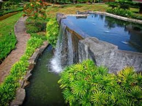 Creating a Natural Swimming Pool - My Pool Direct 🩲